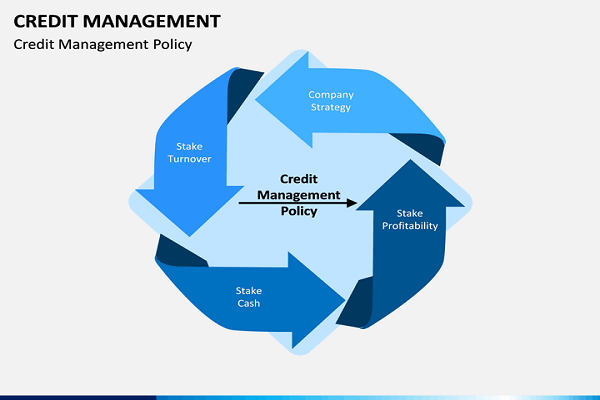 Credit Management Policy - Kaushikii